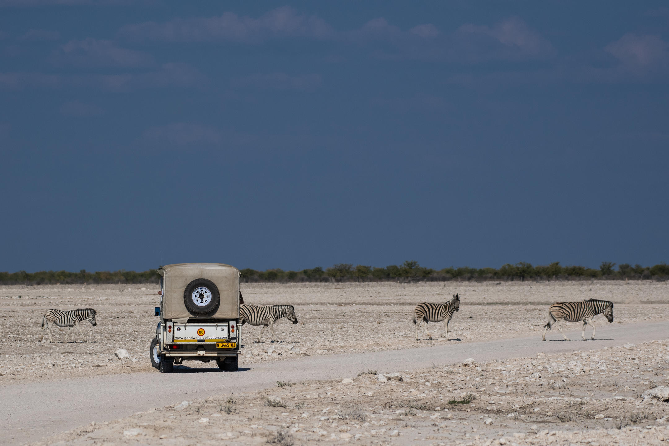 Etosha National Park Namibia | Luxury Namibia Safaris