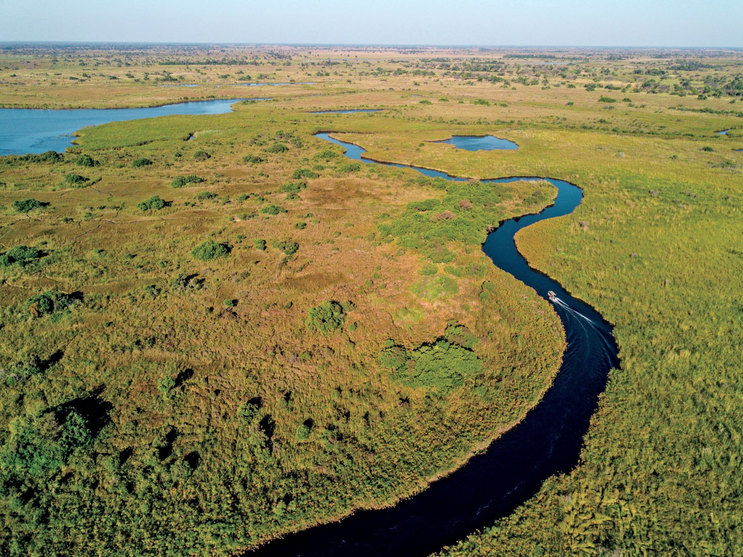 Explore Okavango Delta and Savute Region | Think Africa Travel
